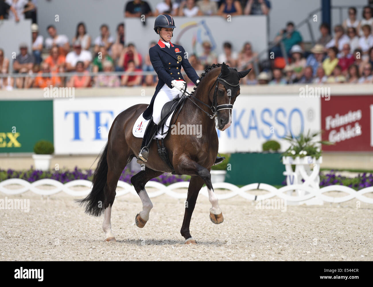 Valegro horse hi-res stock photography and images - Alamy