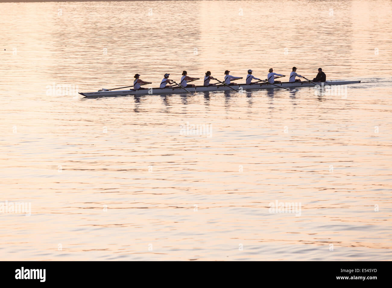 Regatta Rowing action athlete rowers on Durban harbor waters Stock ...