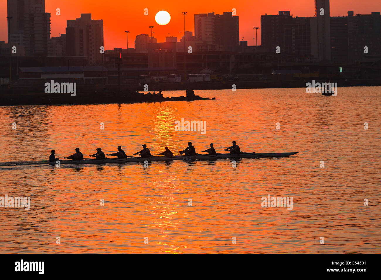 Regatta Rowing action athlete rowers on Durban harbor waters Stock ...