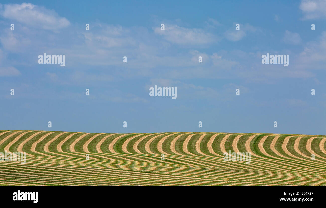 harvested field landscape in rolling terrain of eastern Colorado Stock ...