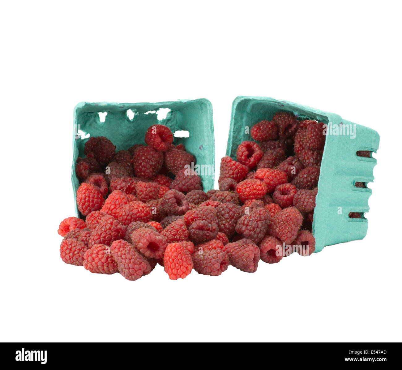 Berries farmers Cut Out Stock Images & Pictures - Alamy