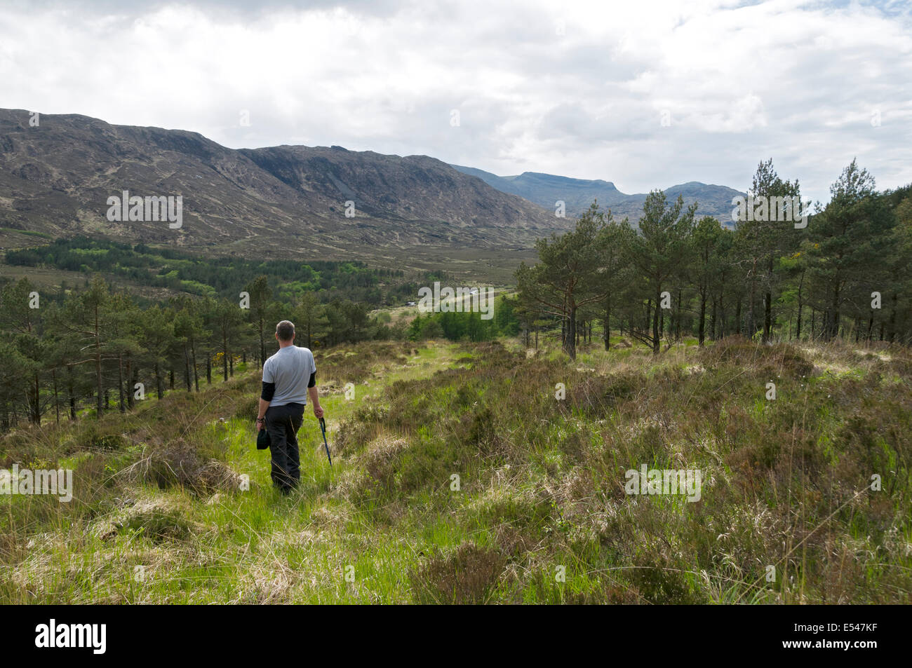 A walker on the Northside nature trail, Kinloch Glen, Isle of Rum ...