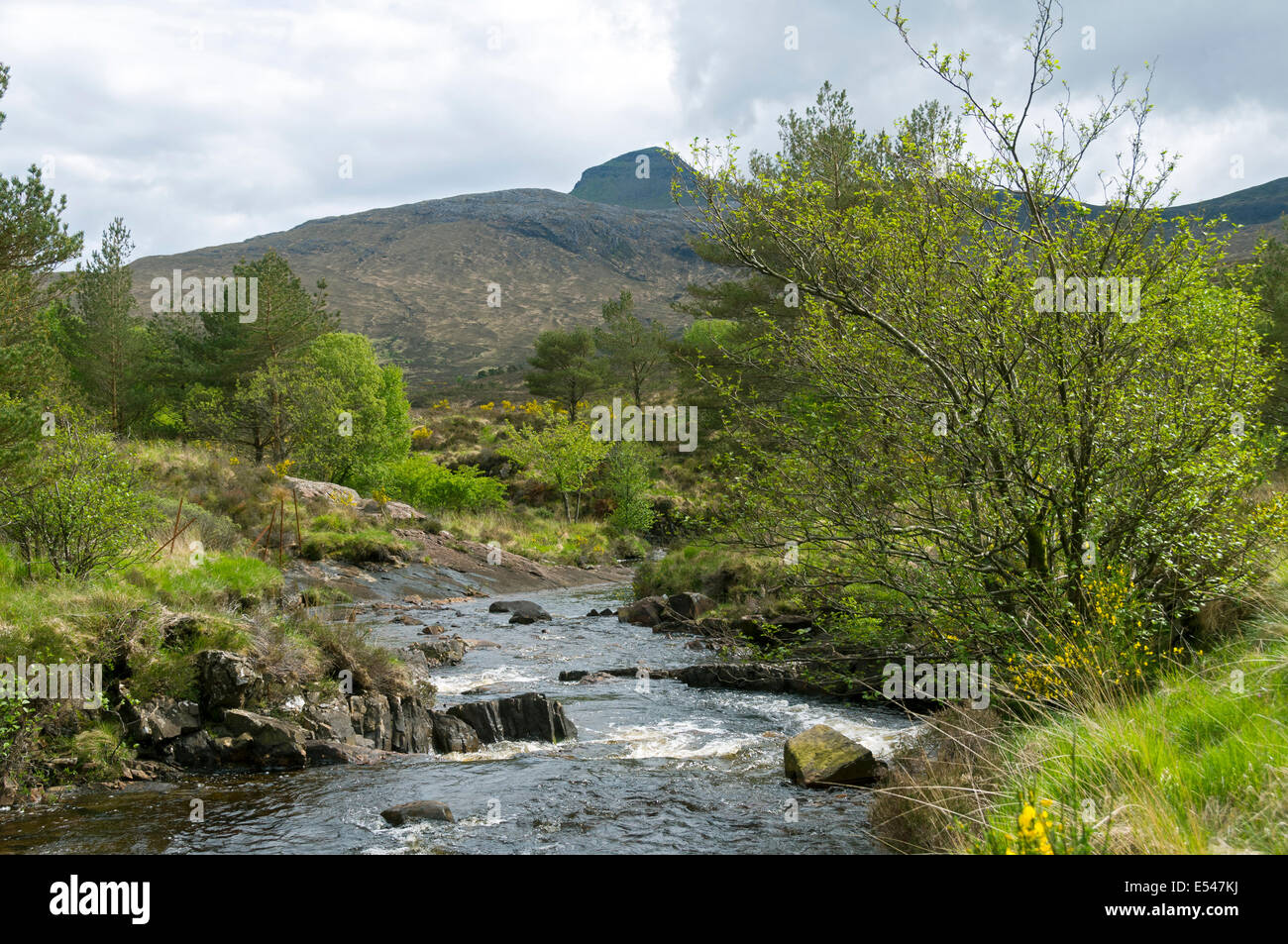 The peak of Hallival from the Kinloch River, Kinloch Glen, Isle of Rum ...