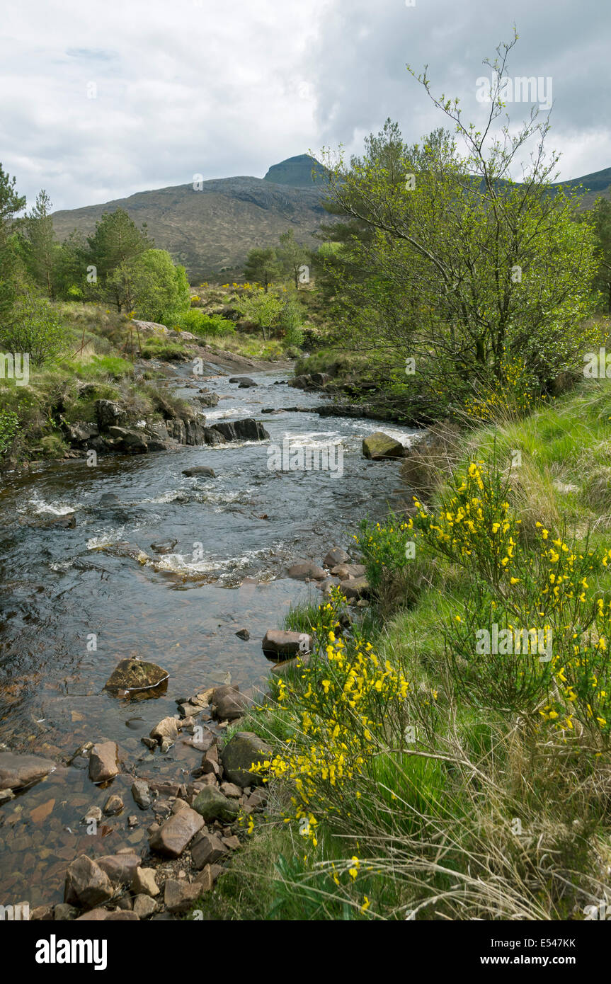 The peak of Hallival from the Kinloch River, Kinloch Glen, Isle of Rum ...