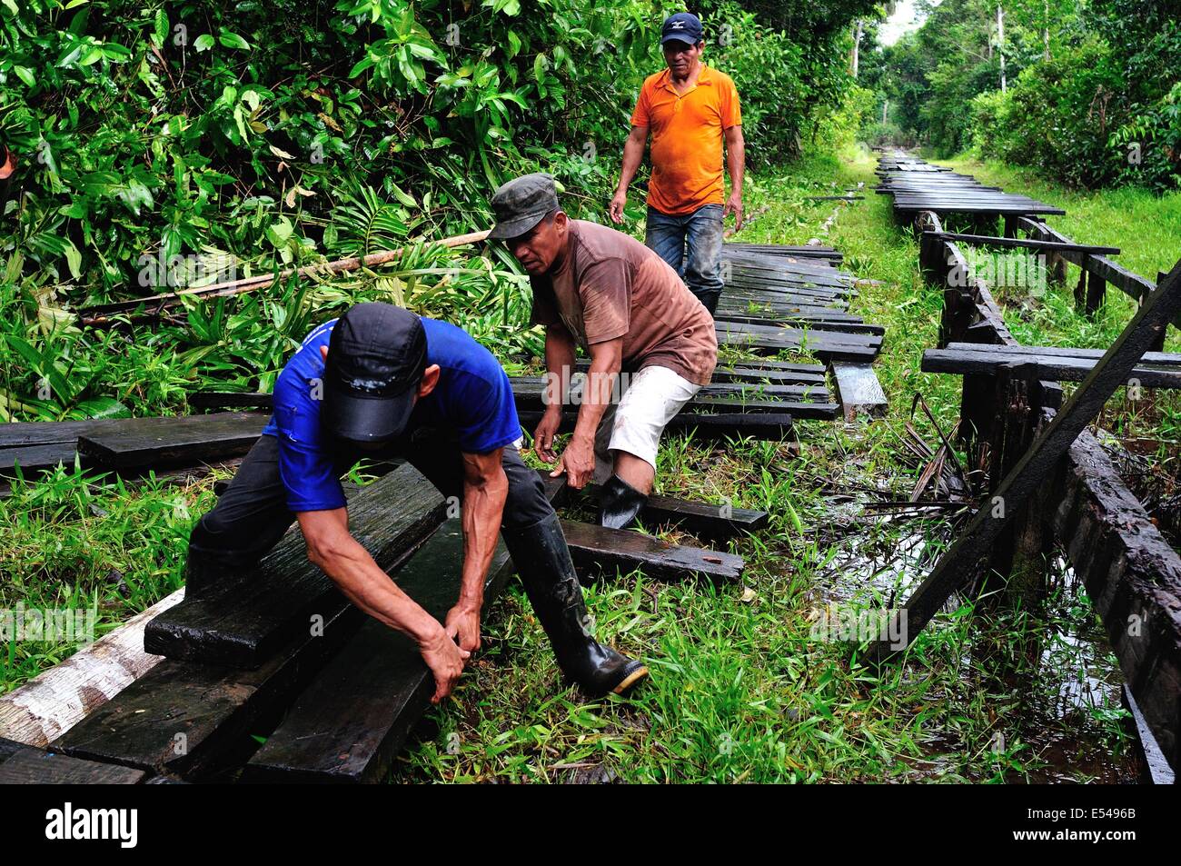 Rebuilding bridge in PANGUANA . Department of Loreto .PERU Stock Photo ...