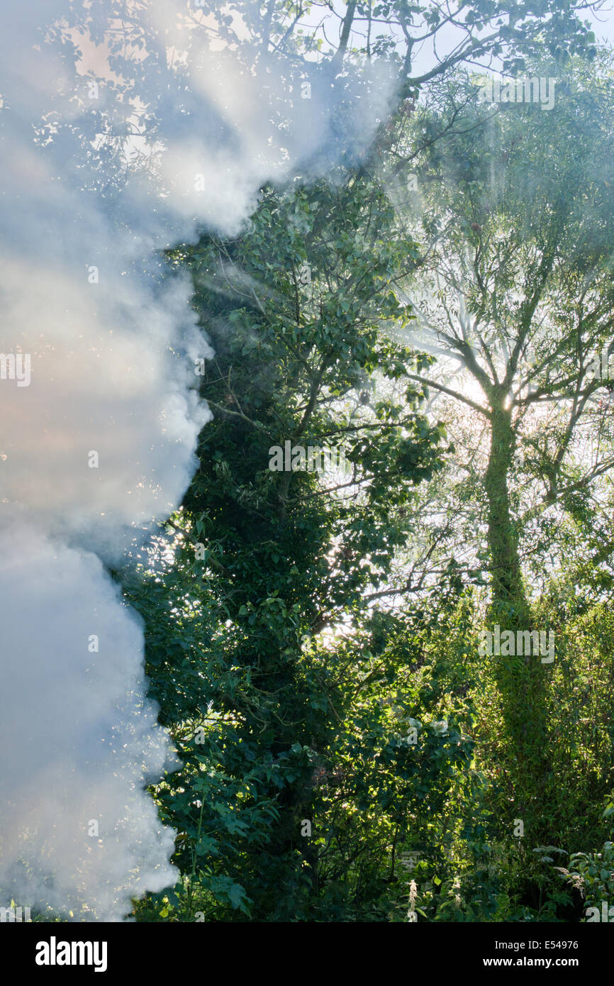 Early morning sun rays hi-res stock photography and images - Alamy