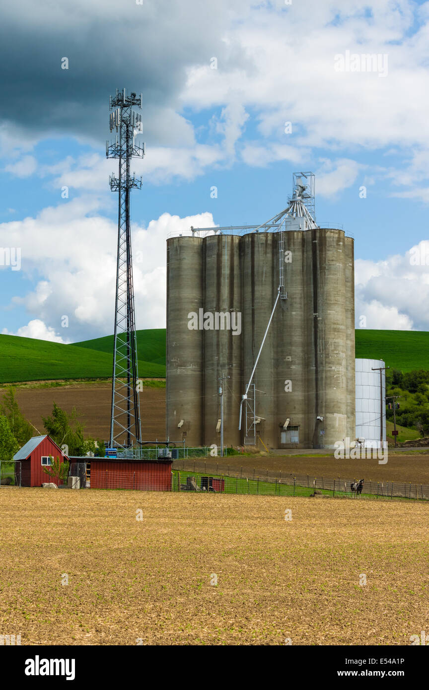A large grain silo storage building with a cell phone tower Stock Photo ...