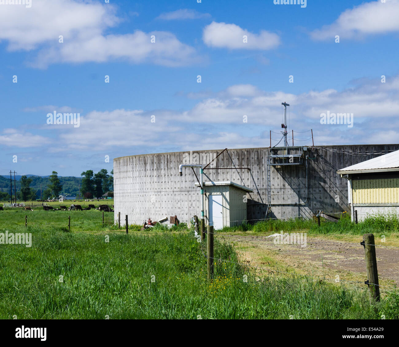 A concrete storage tank for liquid manure on a farm Stock Photo - Alamy