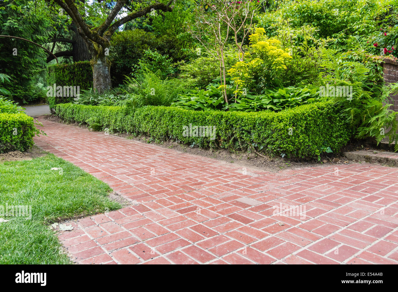 Planted hedge hi-res stock photography and images - Alamy