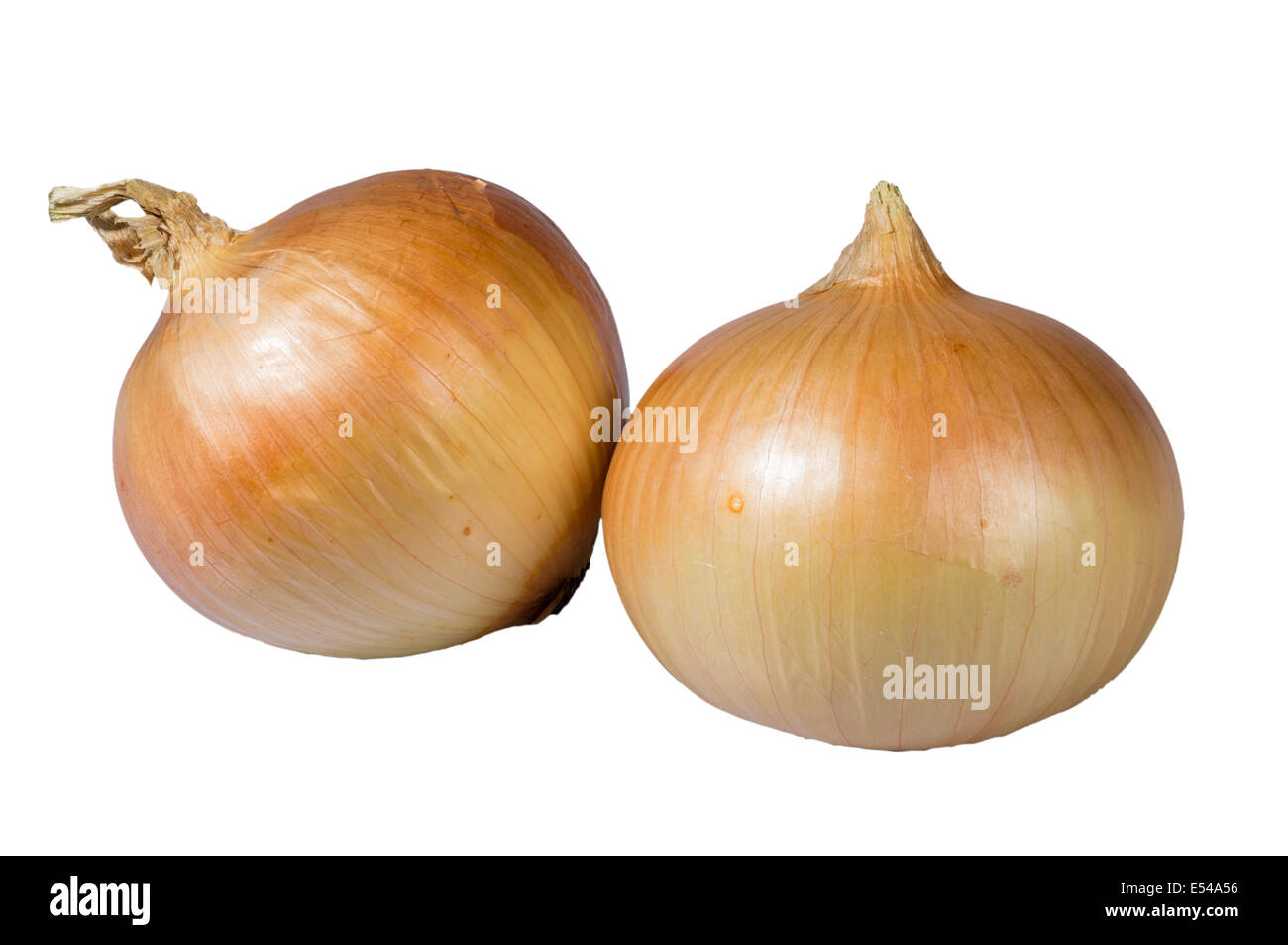 Onion plants Cut Out Stock Images & Pictures - Alamy