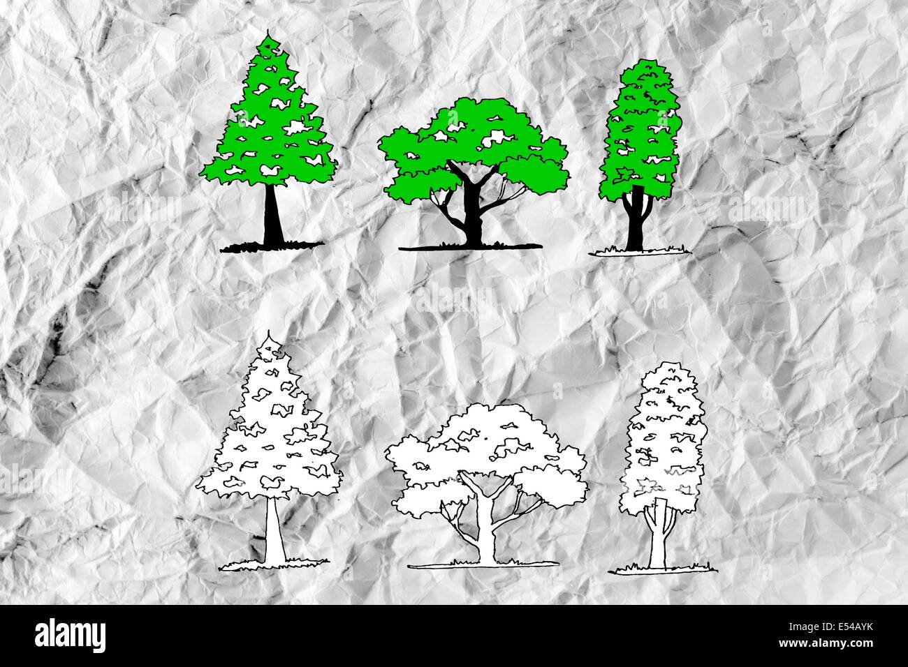 Set of trees with leaves on crumpled paper Stock Photo - Alamy