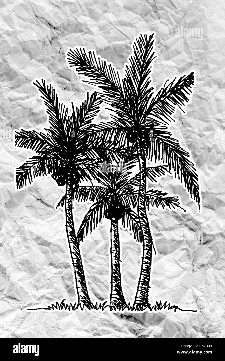 Paper birch leaf Black and White Stock Photos & Images - Alamy