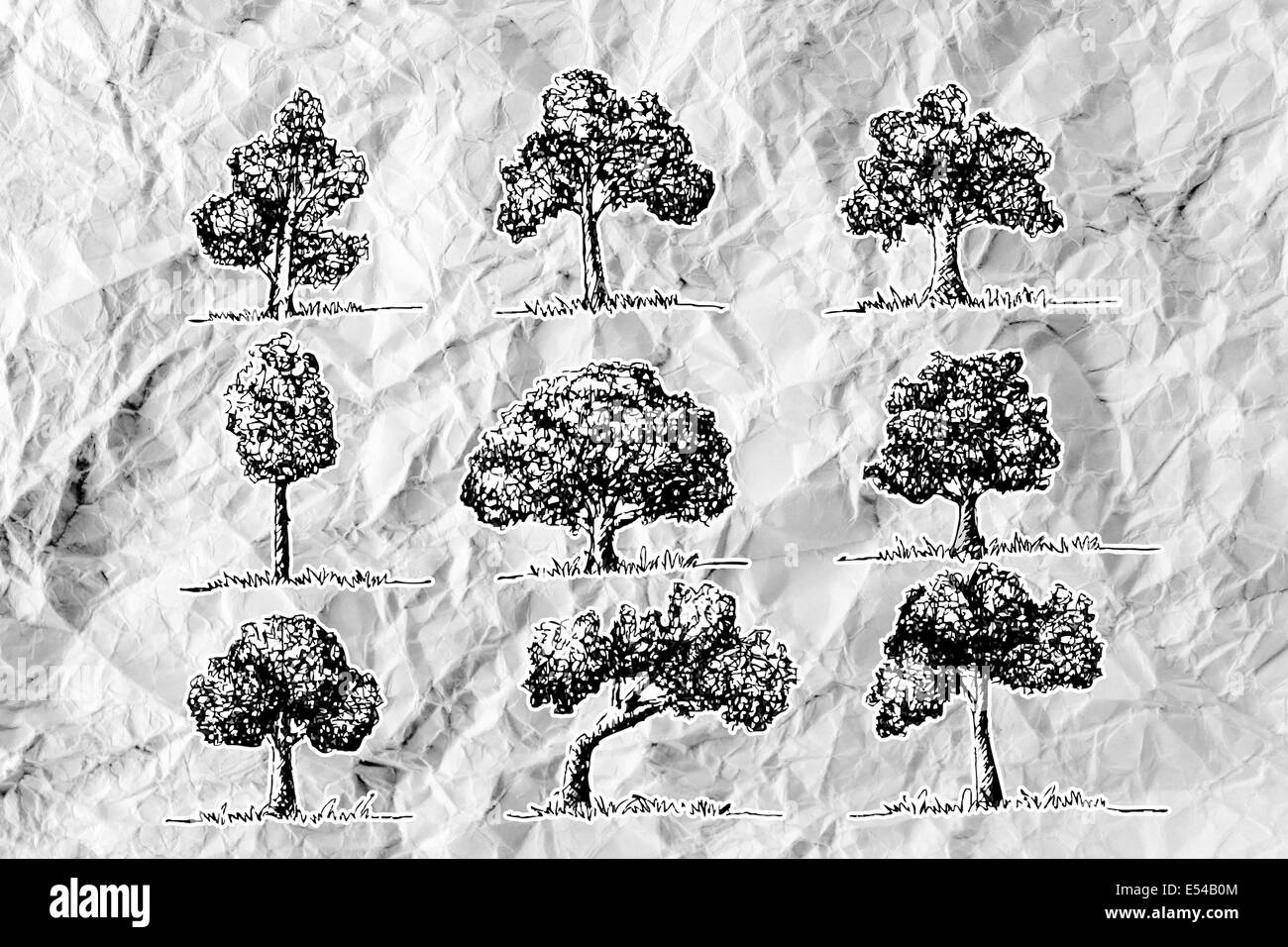 Set of trees with leaves on crumpled paper Stock Photo - Alamy