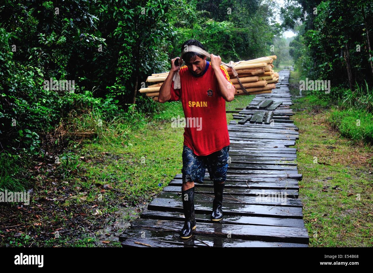 Traditional bridge in PANGUANA . Department of Loreto .PERU Stock Photo ...