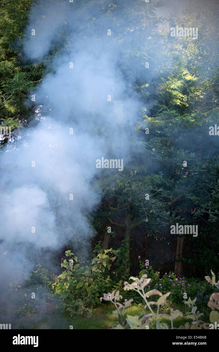 Bonfire smoke hi-res stock photography and images - Alamy