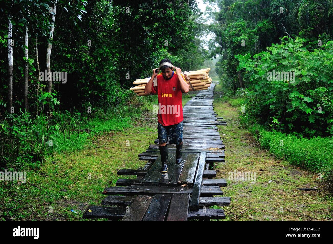 Traditional bridge in PANGUANA . Department of Loreto .PERU Stock Photo ...