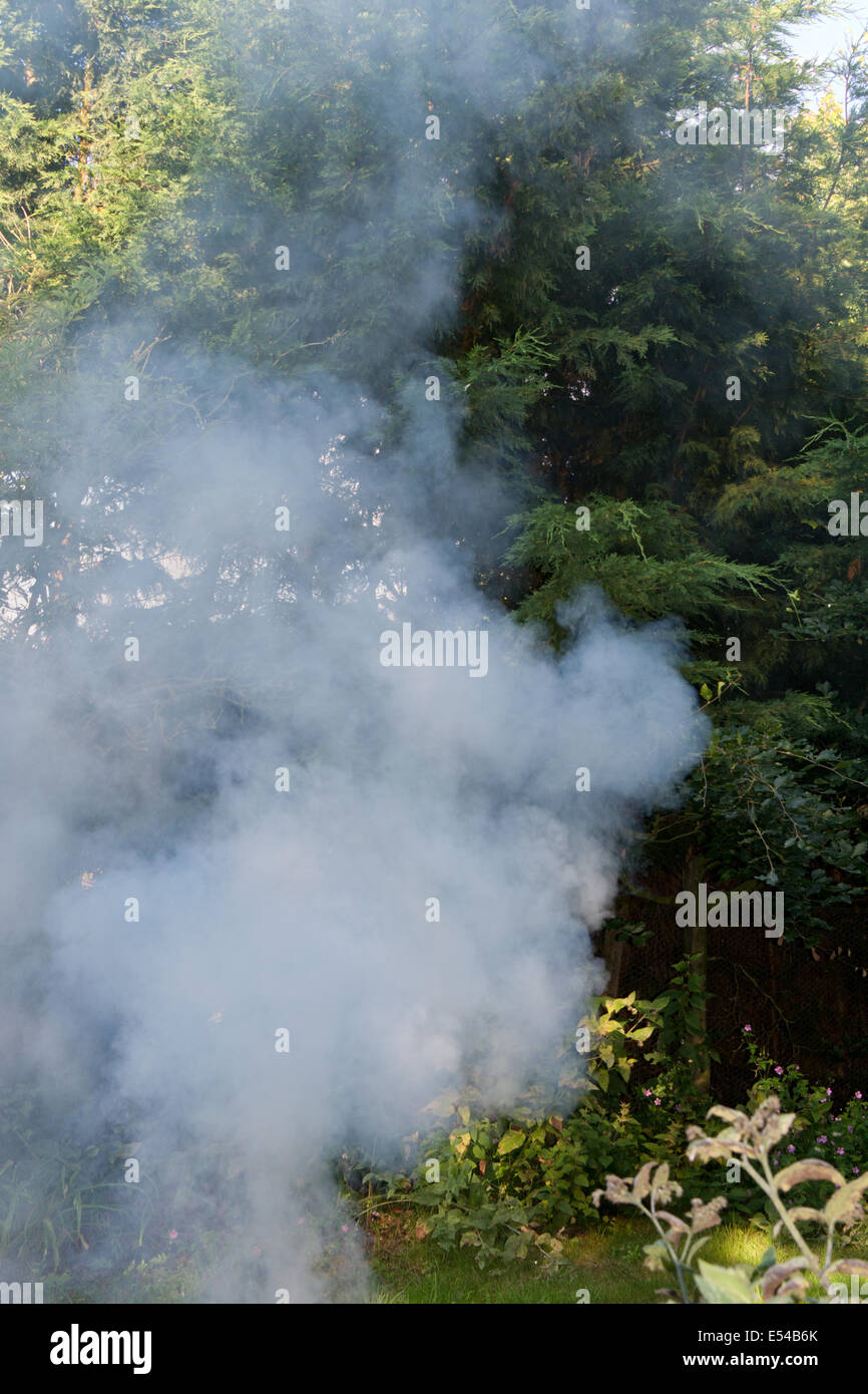 Bonfire smoke hi-res stock photography and images - Alamy