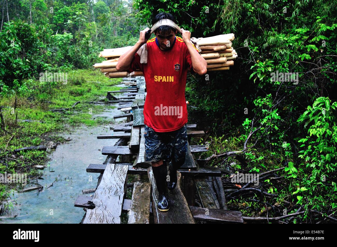 Traditional bridge in PANGUANA . Department of Loreto .PERU Stock Photo ...