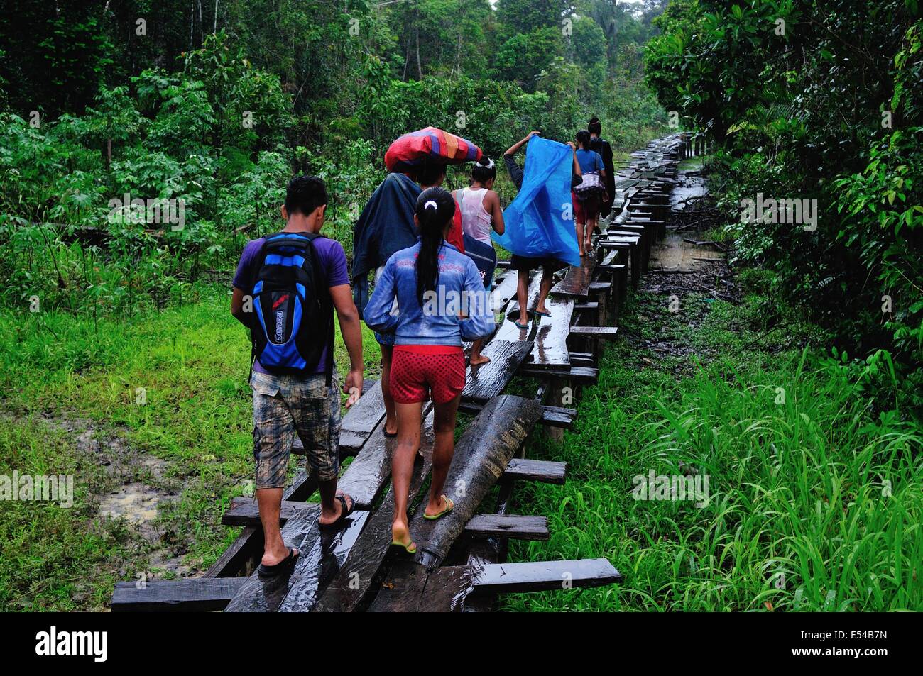 Traditional bridge in PANGUANA . Department of Loreto .PERU Stock Photo ...