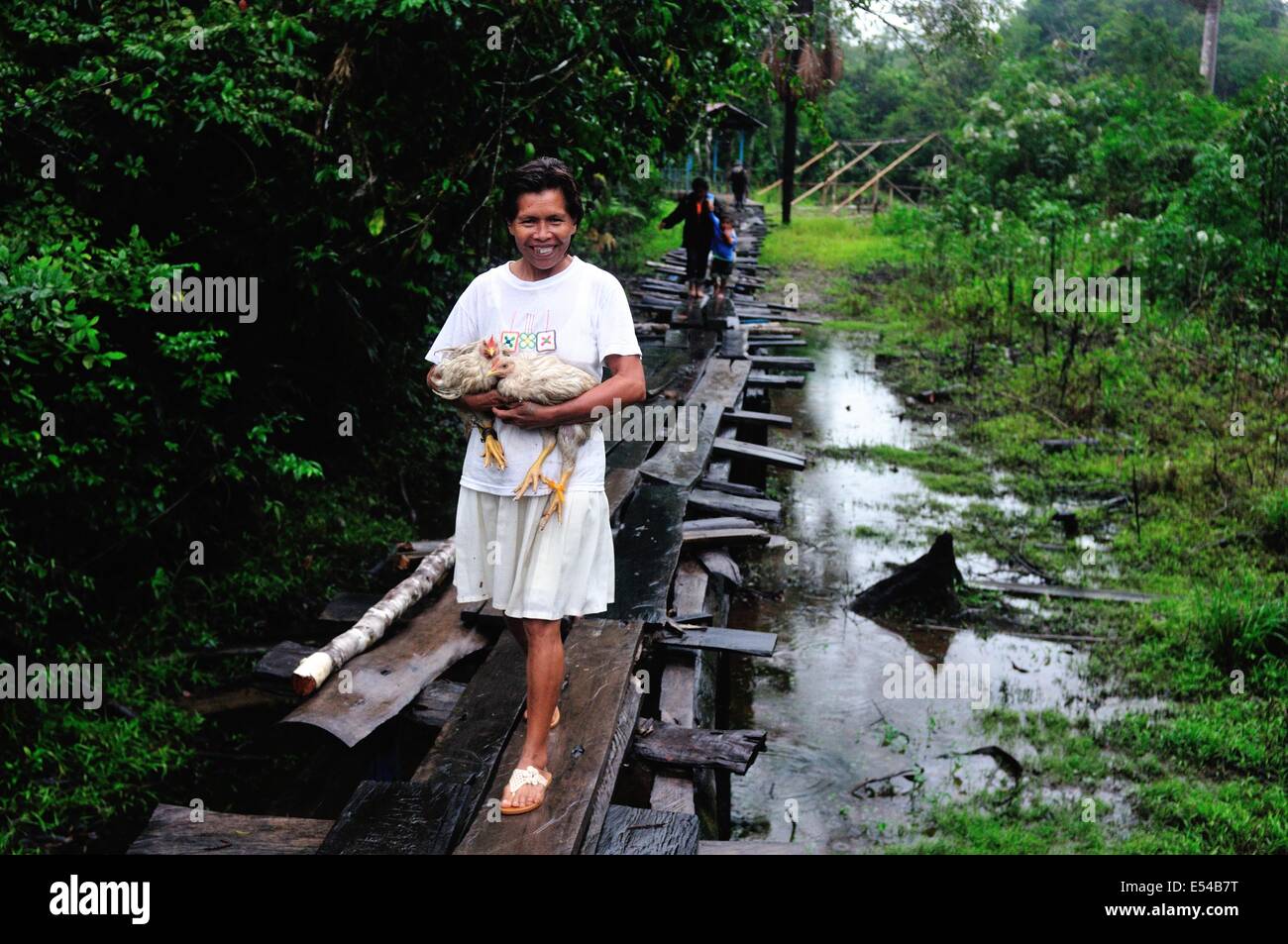 Traditional bridge in PANGUANA . Department of Loreto .PERU Stock Photo ...