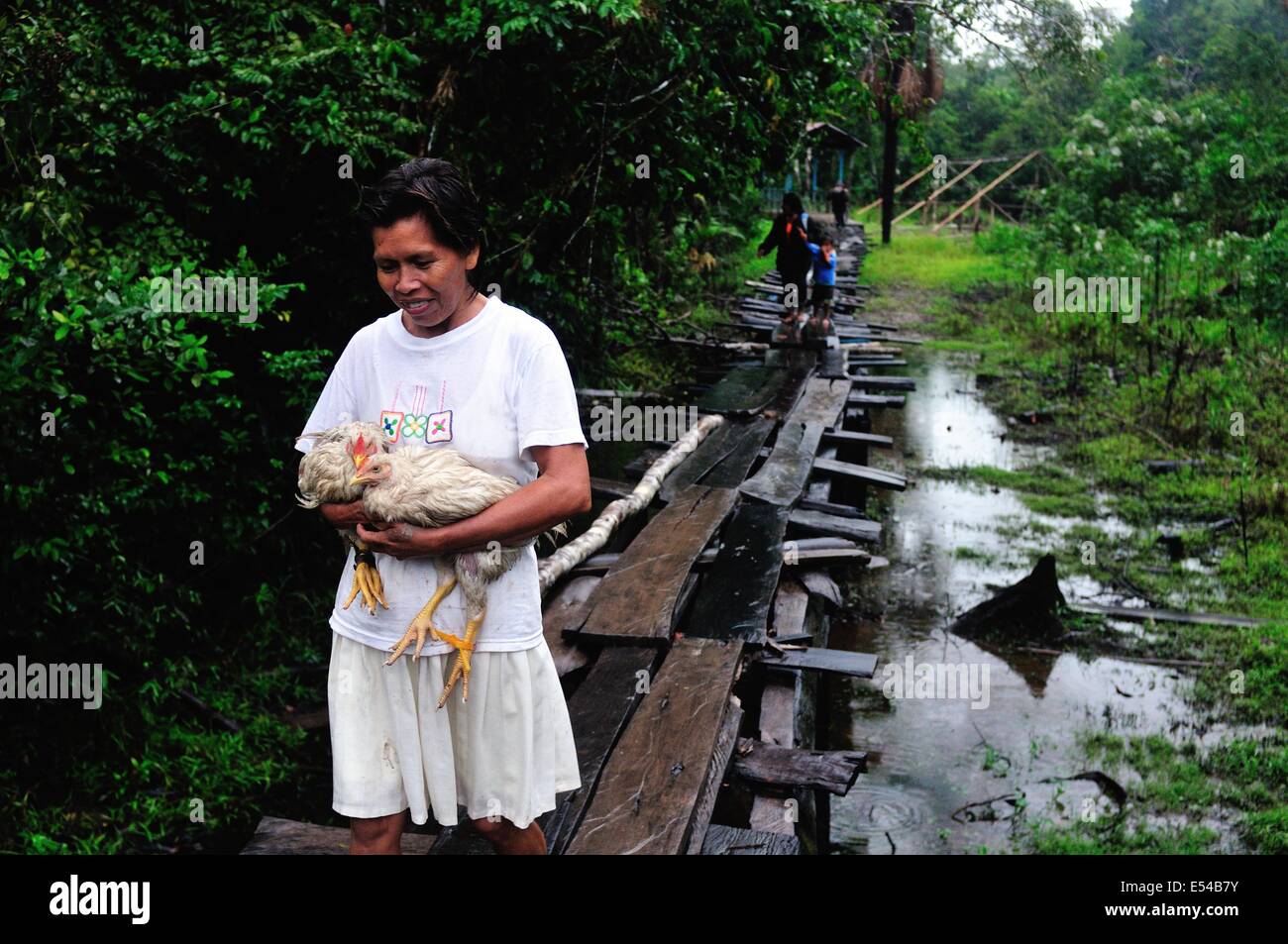 Traditional bridge in PANGUANA . Department of Loreto .PERU Stock Photo ...
