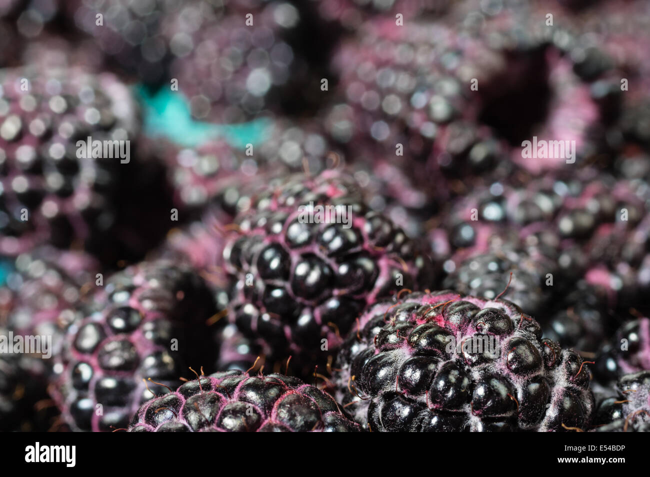 Fresh picked black raspberries on display at the market Stock Photo - Alamy