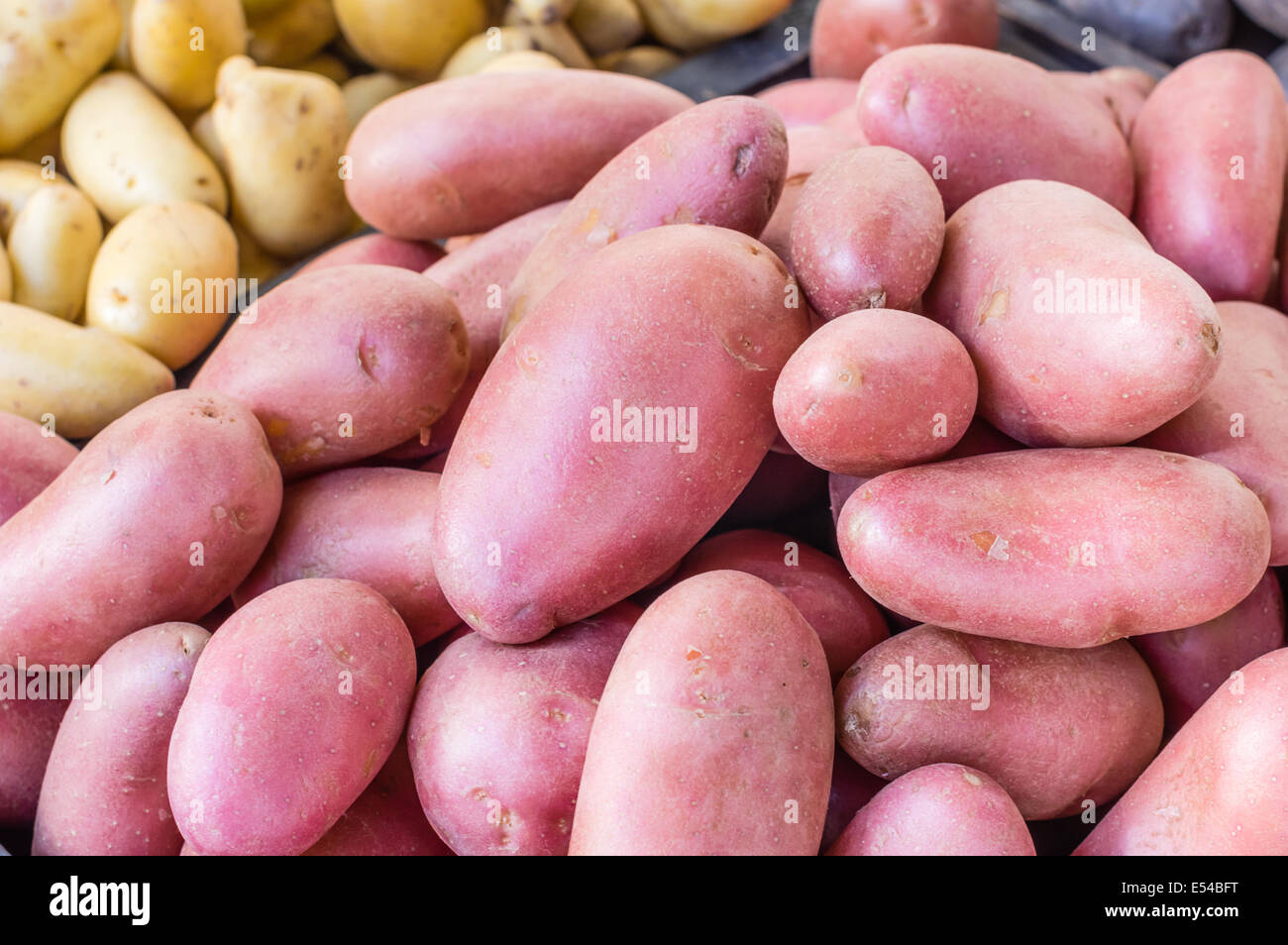New red potatoes on display at the farmers market Stock Photo - Alamy