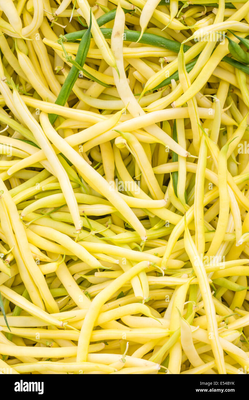 Fresh yellow snap beans on display at the farmers market Stock Photo ...