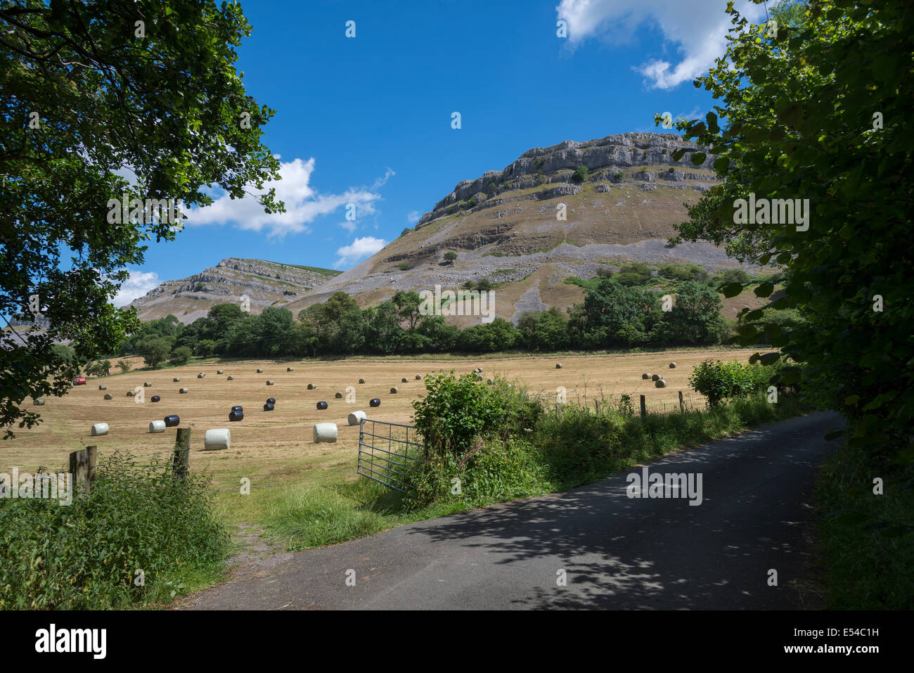 A section of the Seven Sisters limestone escarpment at Llangollen in ...