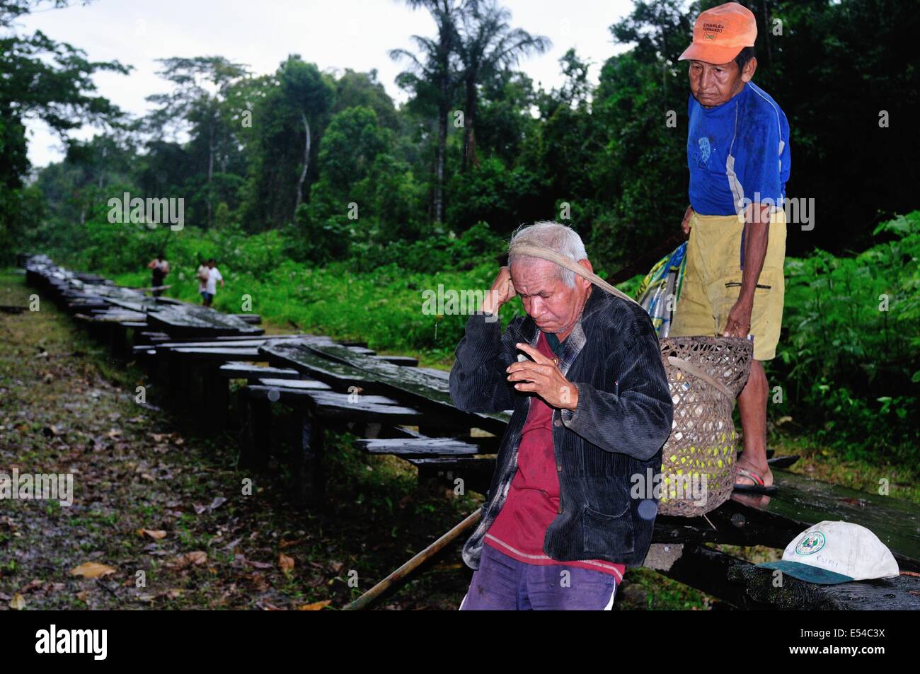 Traditional bridge in PANGUANA . Department of Loreto .PERU Stock Photo ...
