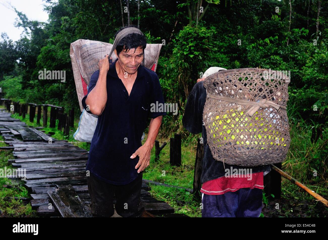 Traditional bridge in PANGUANA . Department of Loreto .PERU Stock Photo ...