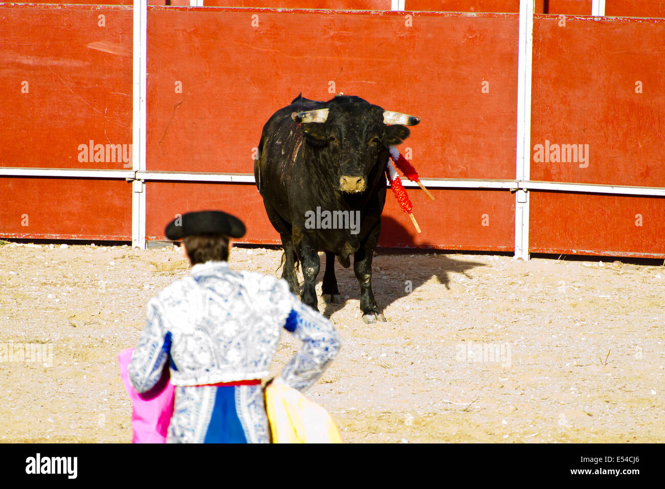 Torero and bull in bullfight. Madrid, Spain Stock Photo - Alamy