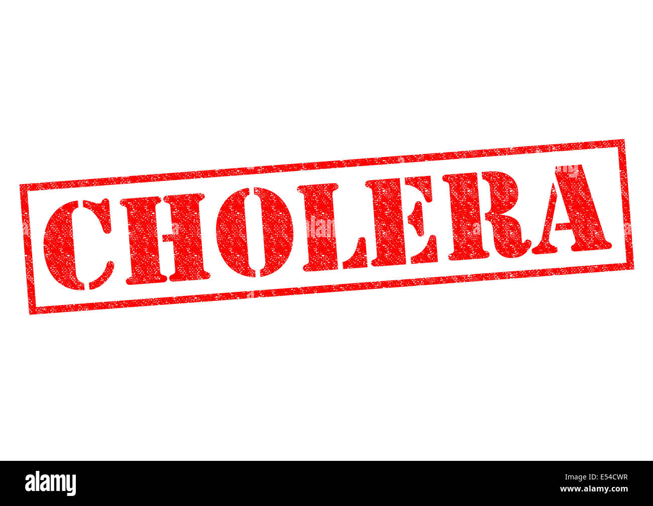 Vibrio cholerae bacteria hi-res stock photography and images - Alamy