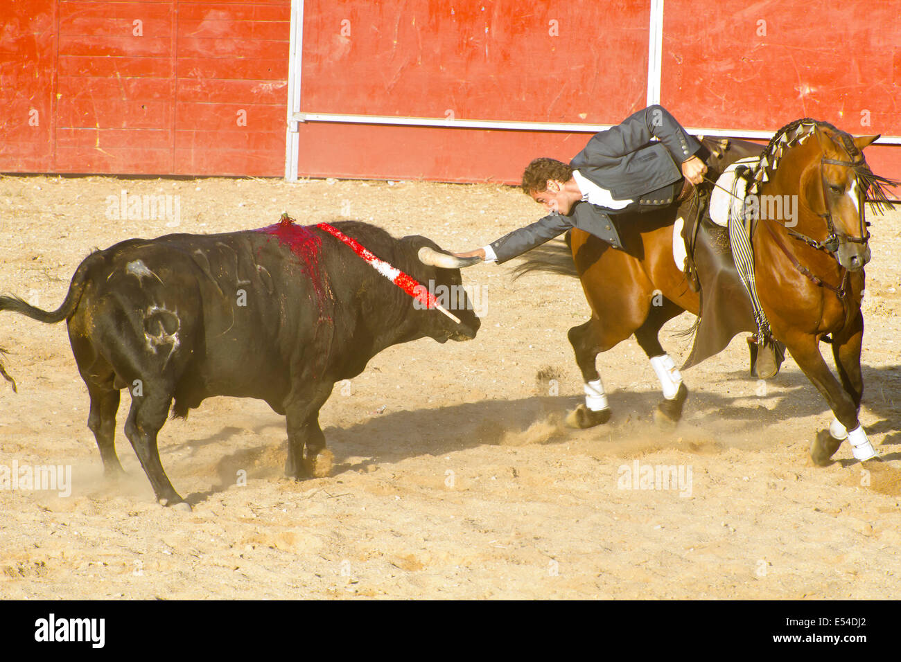 MADRID, SPAIN - SEPTEMBER 10: bullfighter on horseback, bullfight ...