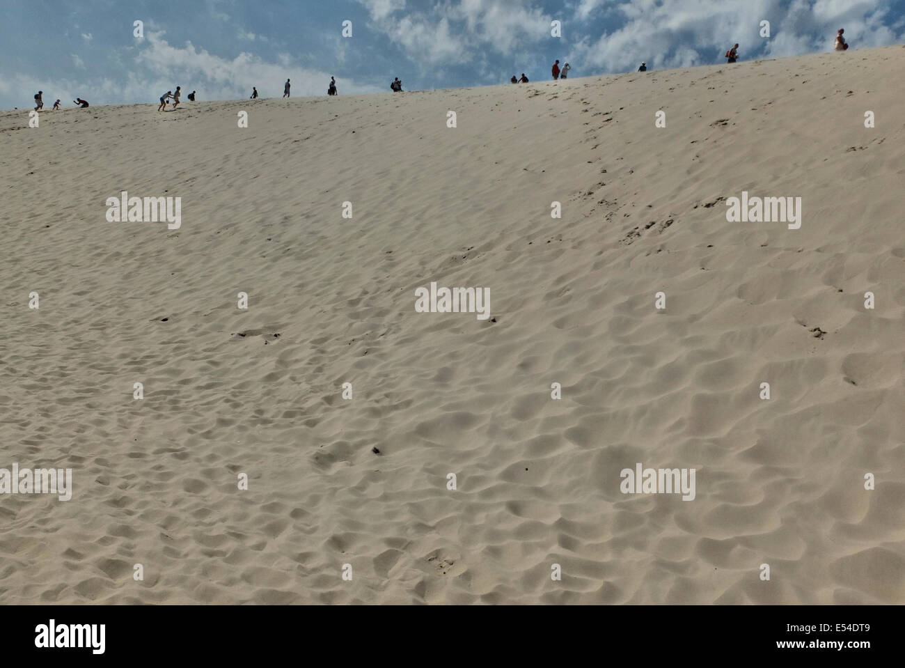 Leba, Poland. 20th, July 2014. Moving sand dunes in the Slowinski ...