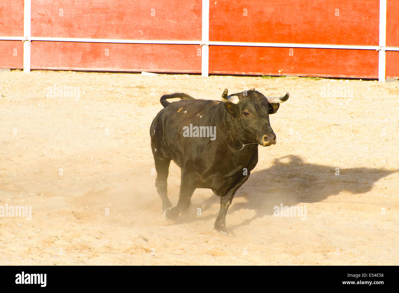 Arena For Bullfight Cut Out Stock Images & Pictures - Alamy