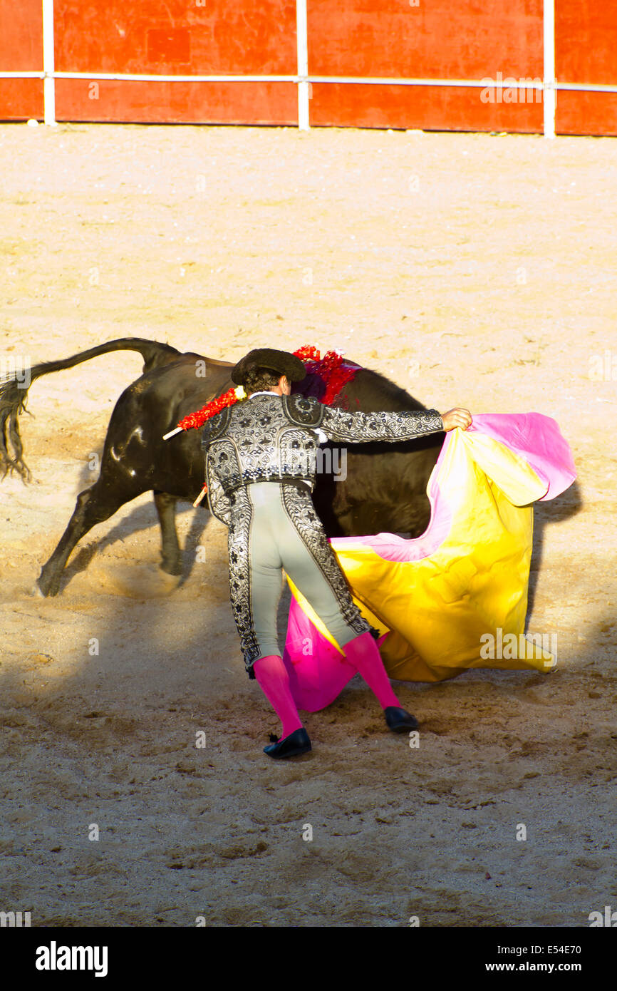 Torero and bull in bullfight. Madrid, Spain Stock Photo - Alamy