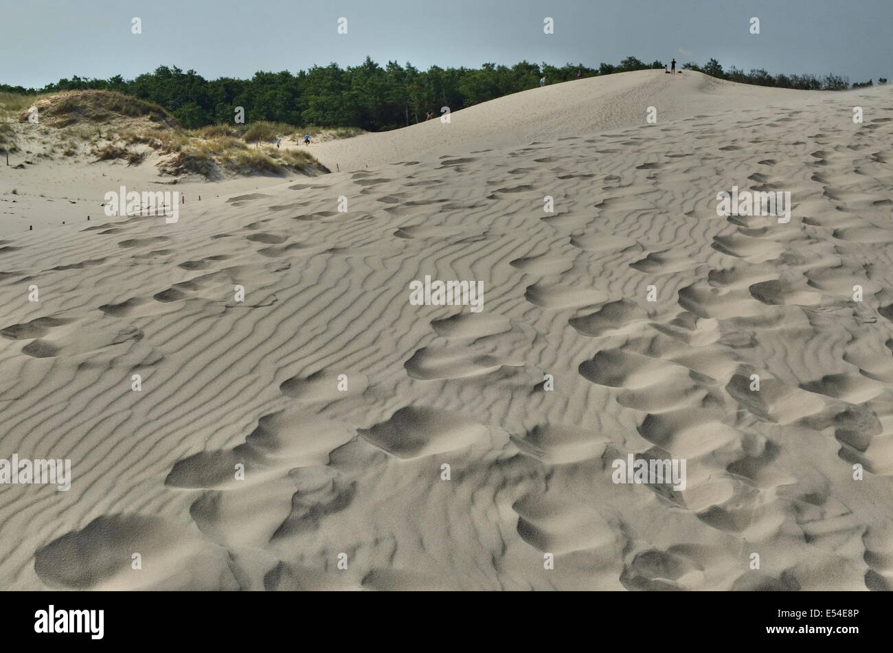 Leba, Poland. 20th, July 2014. Moving sand dunes in the Slowinski ...