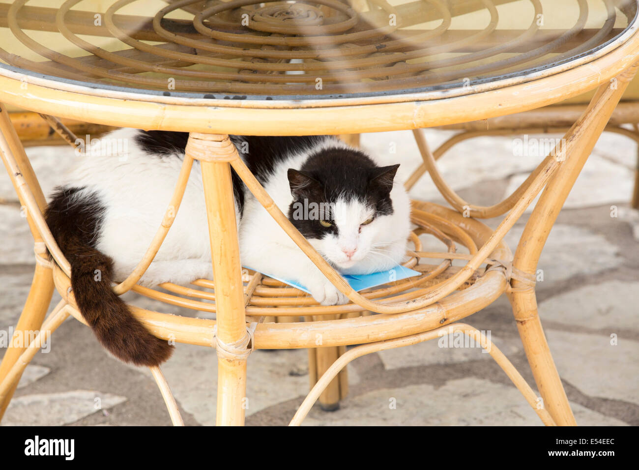 Underneath table hi-res stock photography and images - Alamy