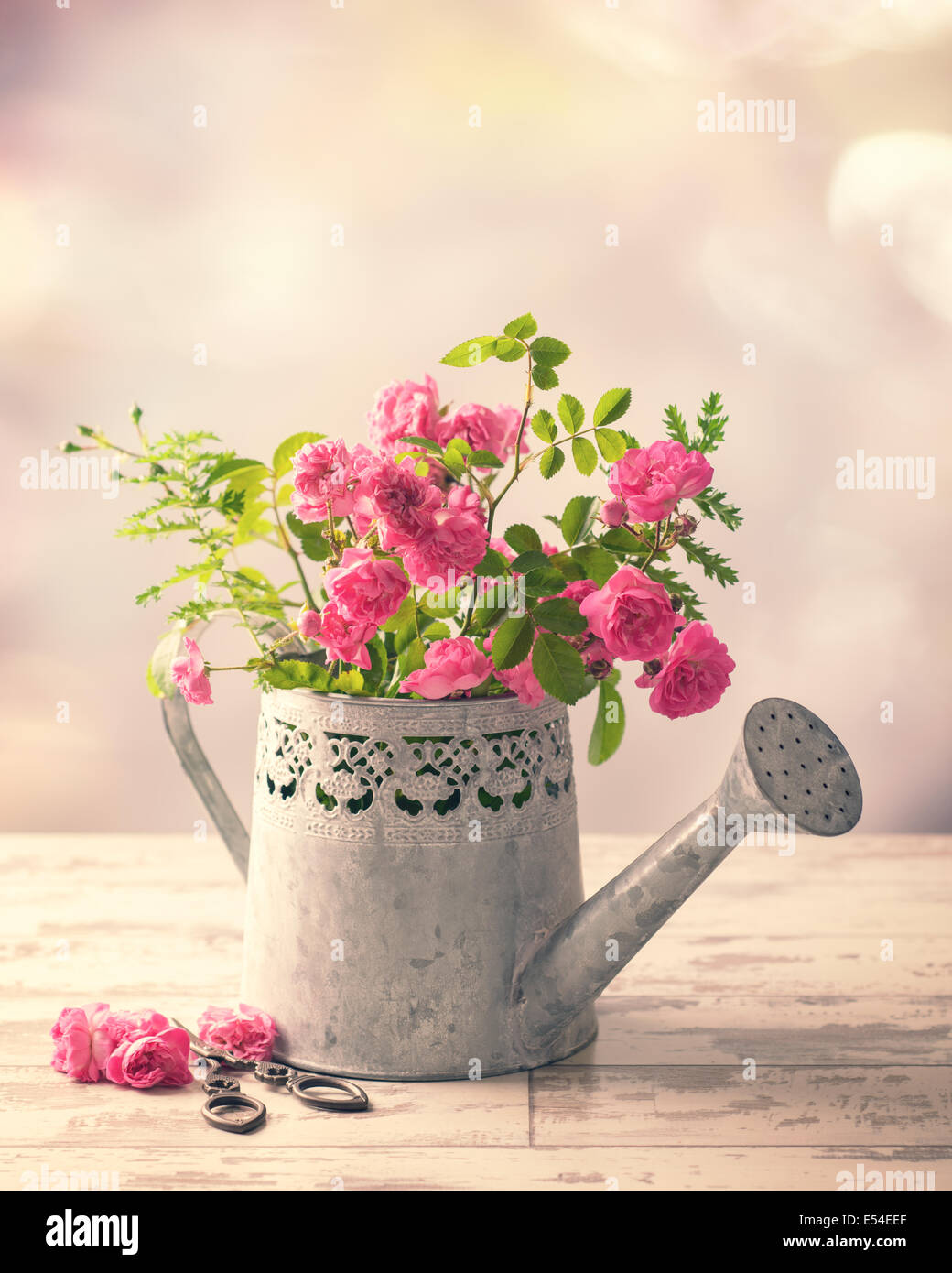 Watering can with flowers hi-res stock photography and images - Alamy