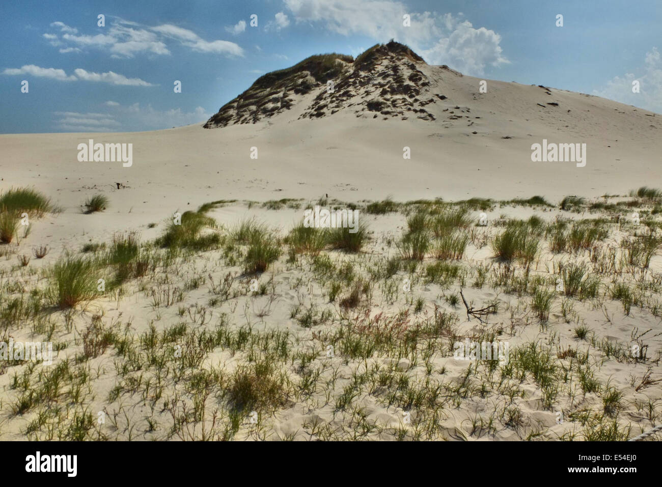 Leba, Poland. 20th, July 2014. Moving sand dunes in the Slowinski ...