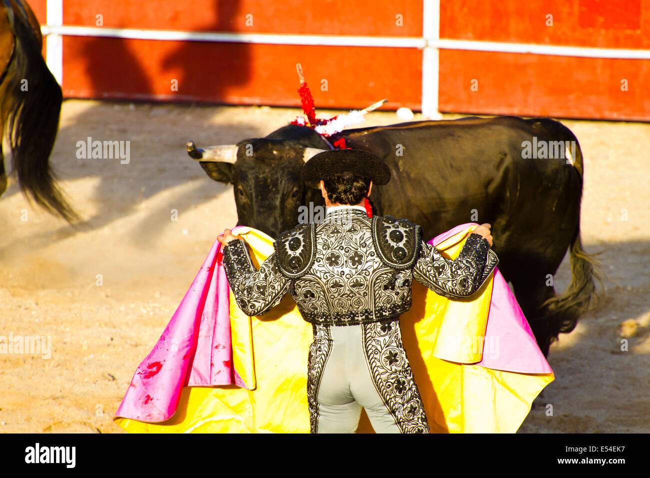 Torero and bull in bullfight. Madrid, Spain Stock Photo - Alamy