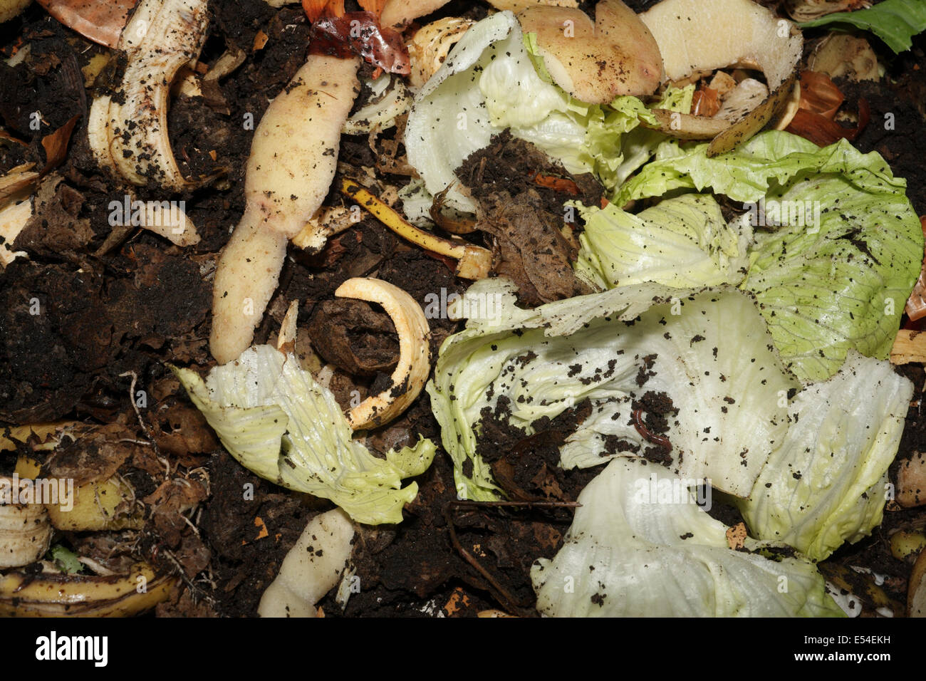 Organic matter in waste hi-res stock photography and images - Alamy
