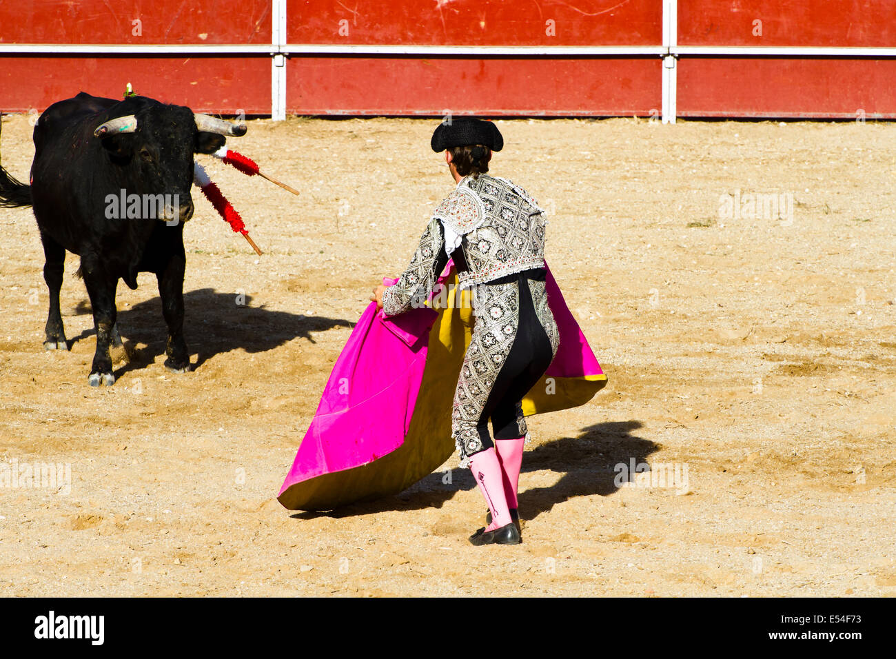 Torero and bull in bullfight. Madrid, Spain Stock Photo - Alamy