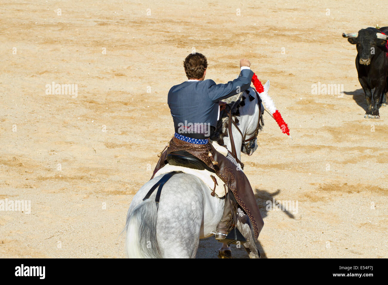 Bullfight on horseback. Typical Spanish bullfight Stock Photo - Alamy