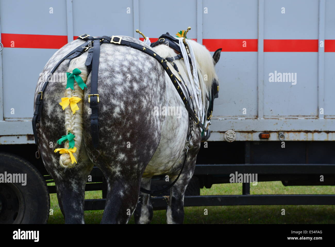 Vintage horse tack hi-res stock photography and images - Alamy