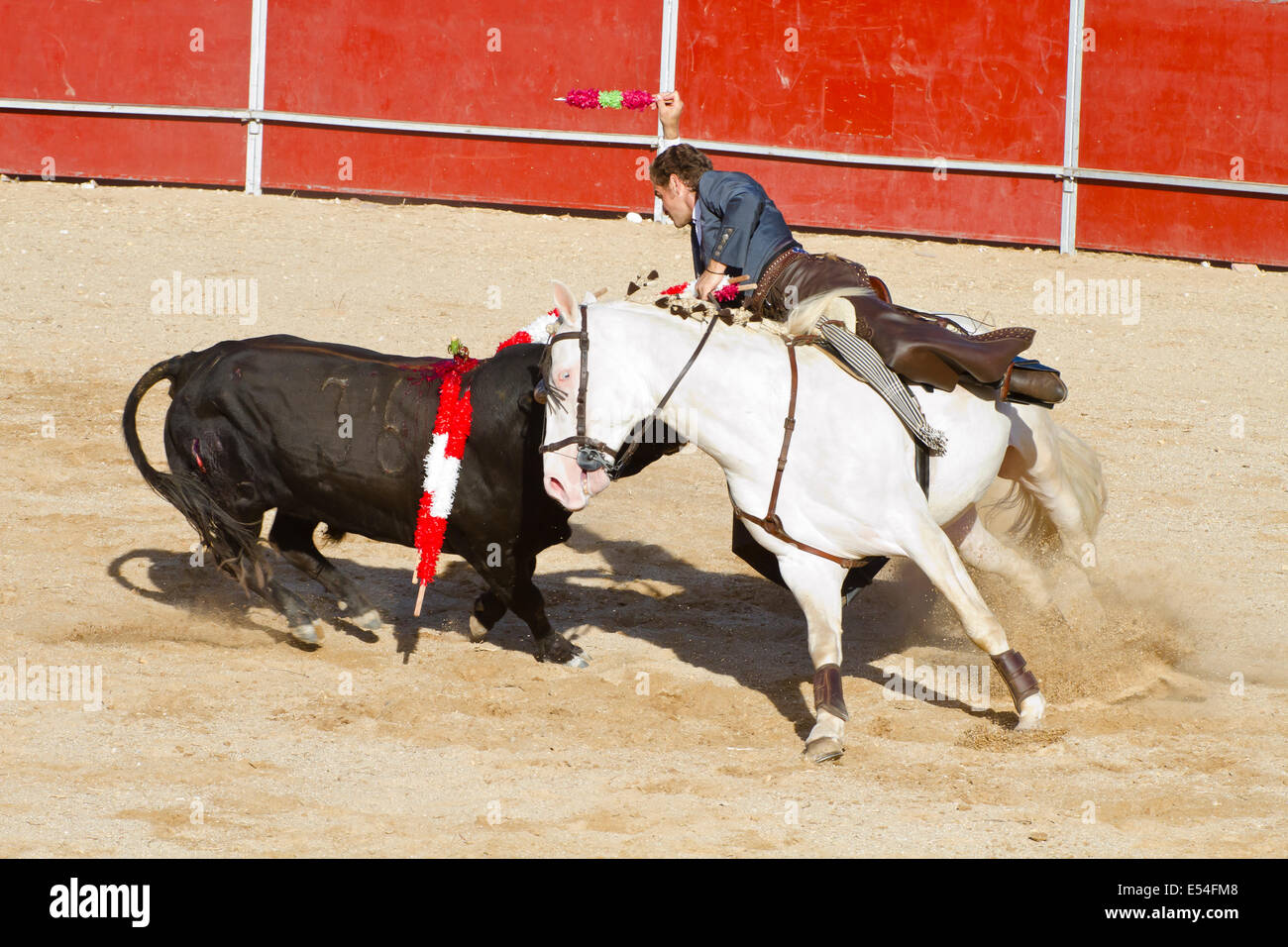 Albino killer hi-res stock photography and images - Alamy