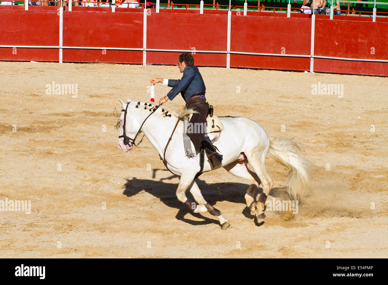 Albino killer hi-res stock photography and images - Alamy