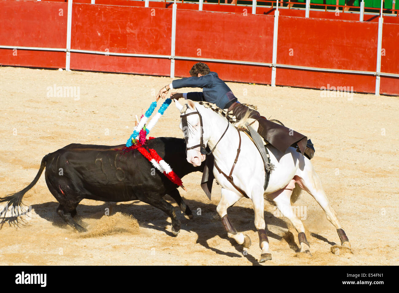 Albino killer hi-res stock photography and images - Alamy