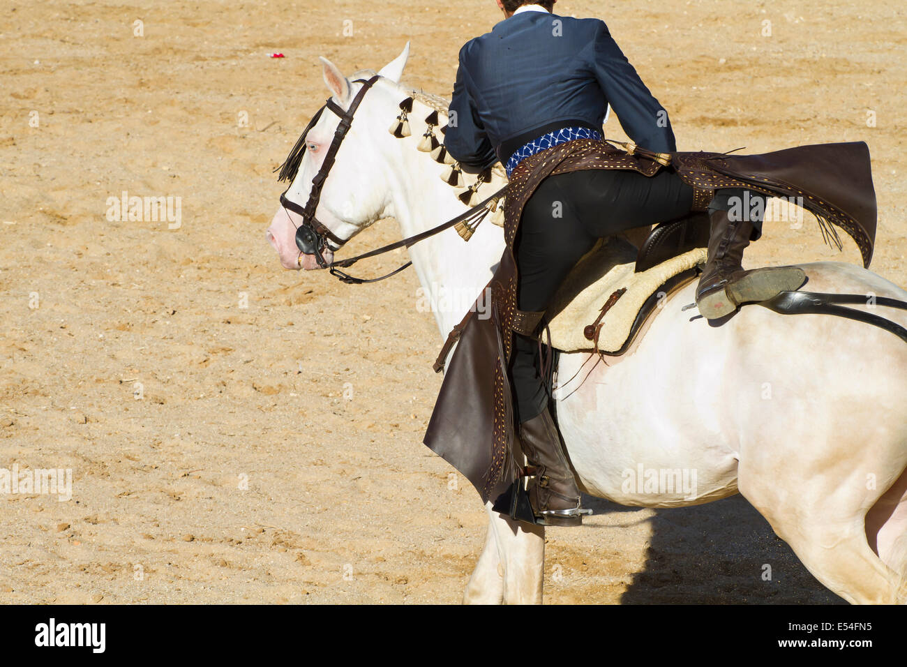 Albino killer hi-res stock photography and images - Alamy